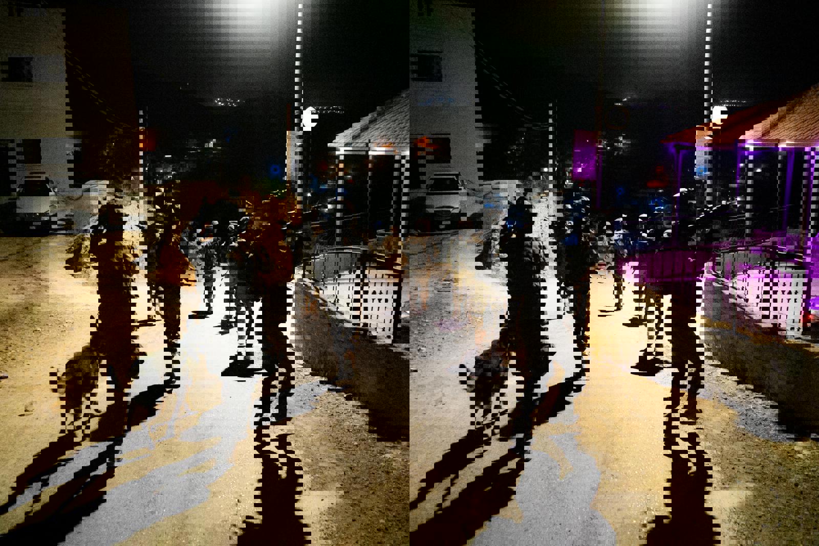 File:Picture of the week IDF website, August 2022 IV.jpeg - Wikimedia ...